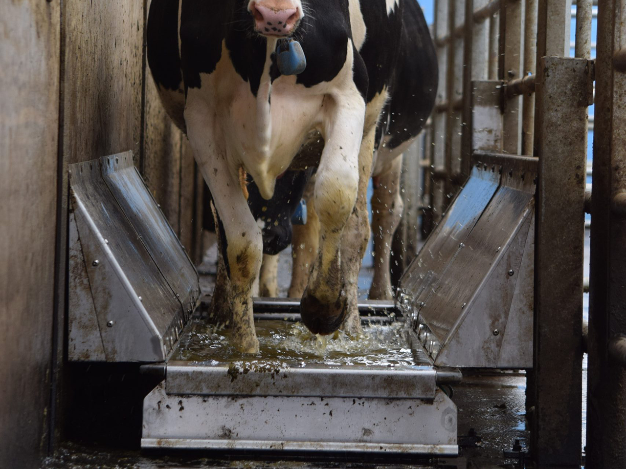 Equipment – Clear Innovation